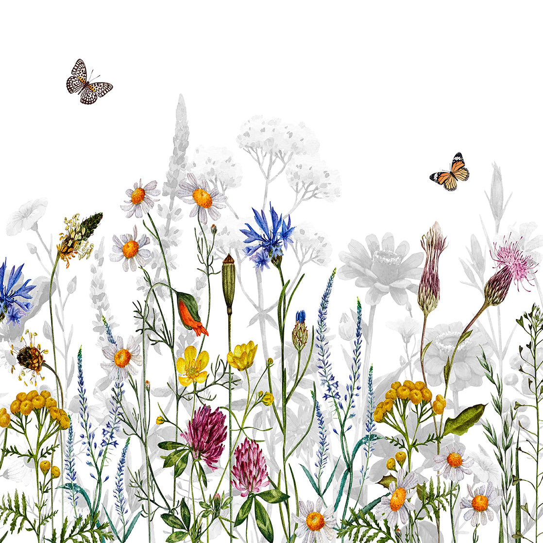 Wildflowers Wall Mural | Designer Murals | Veer Decor